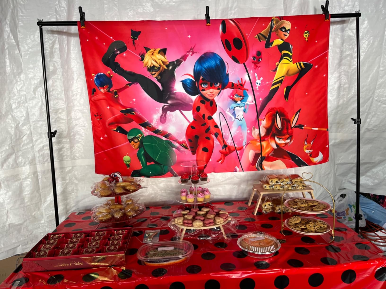 Amazon.com: 73 Pcs Ladybug Party Supplies, 52 x 87 Inch Ladybug ...