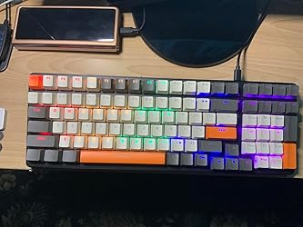 ZIYOU LANG K3 Gaming Keyboard, Wired 100% Mechanical Keyboard with Blue ...