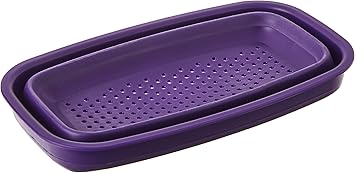 Amazon.com: Progressive Collapsible Berry Colander (Pack of 1 ...