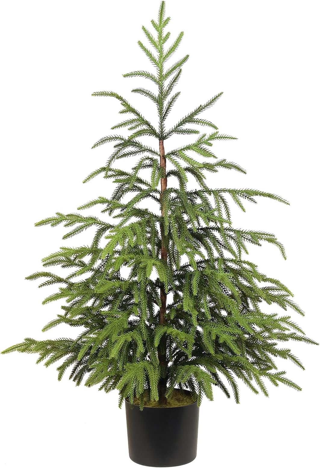 Amazon.com: Artificial Norfolk Pine Tree - 36" Faux Christmas Tree ...