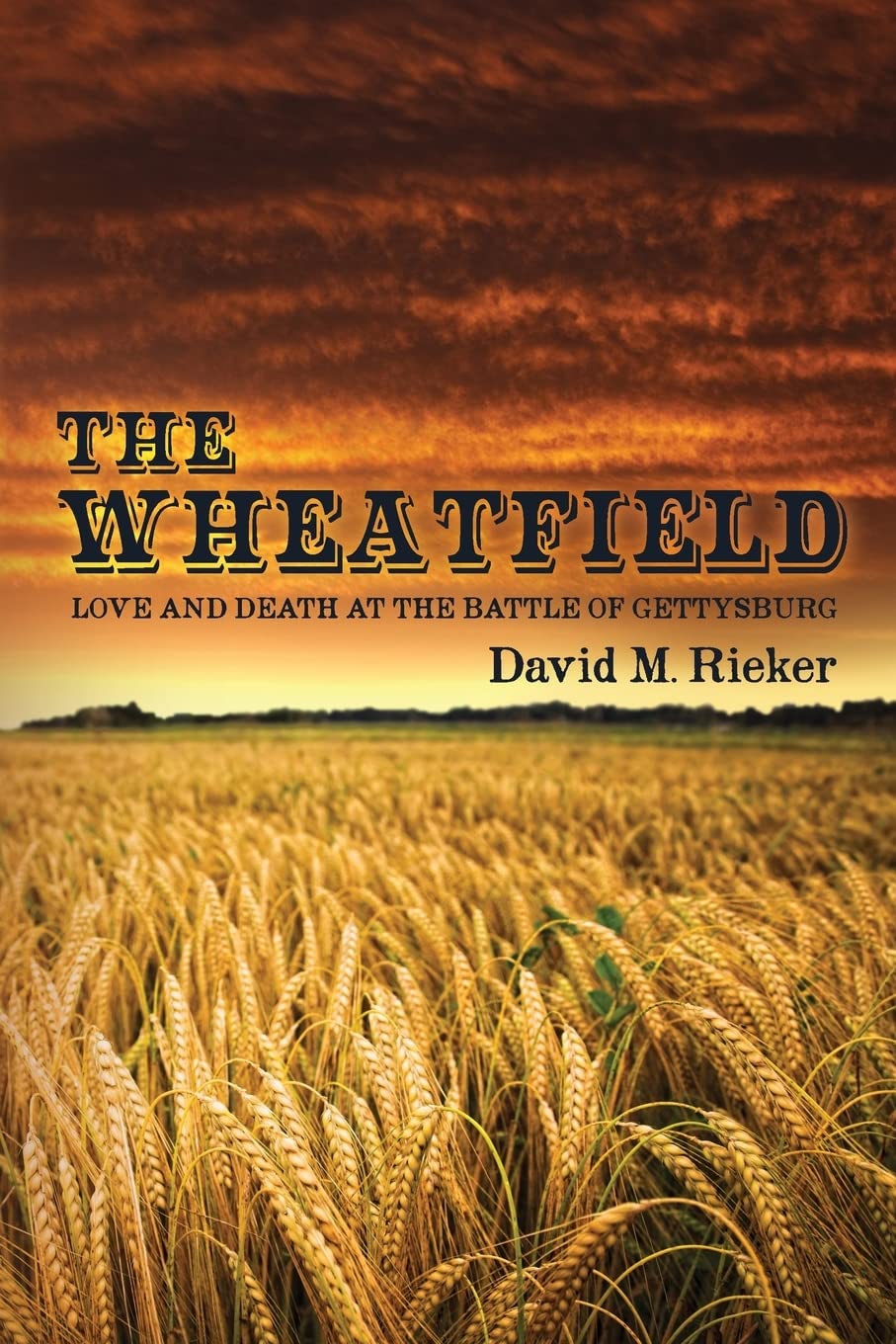 The Wheatfield: Love and Death at the Battle of Gettysburg: Rieker ...