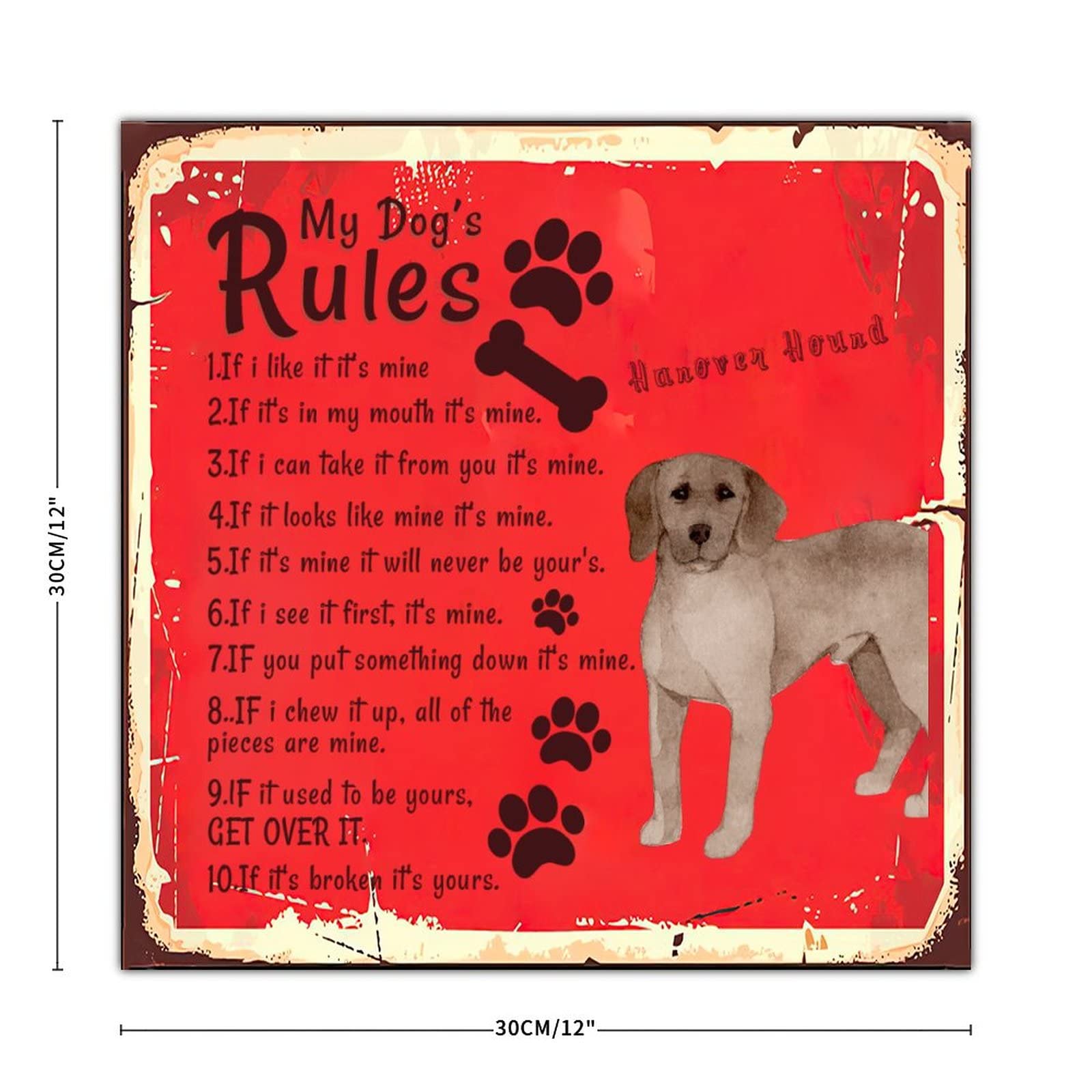 Dog Rules Humor Everyone Stopped To Laugh At These Funny Dog Memes