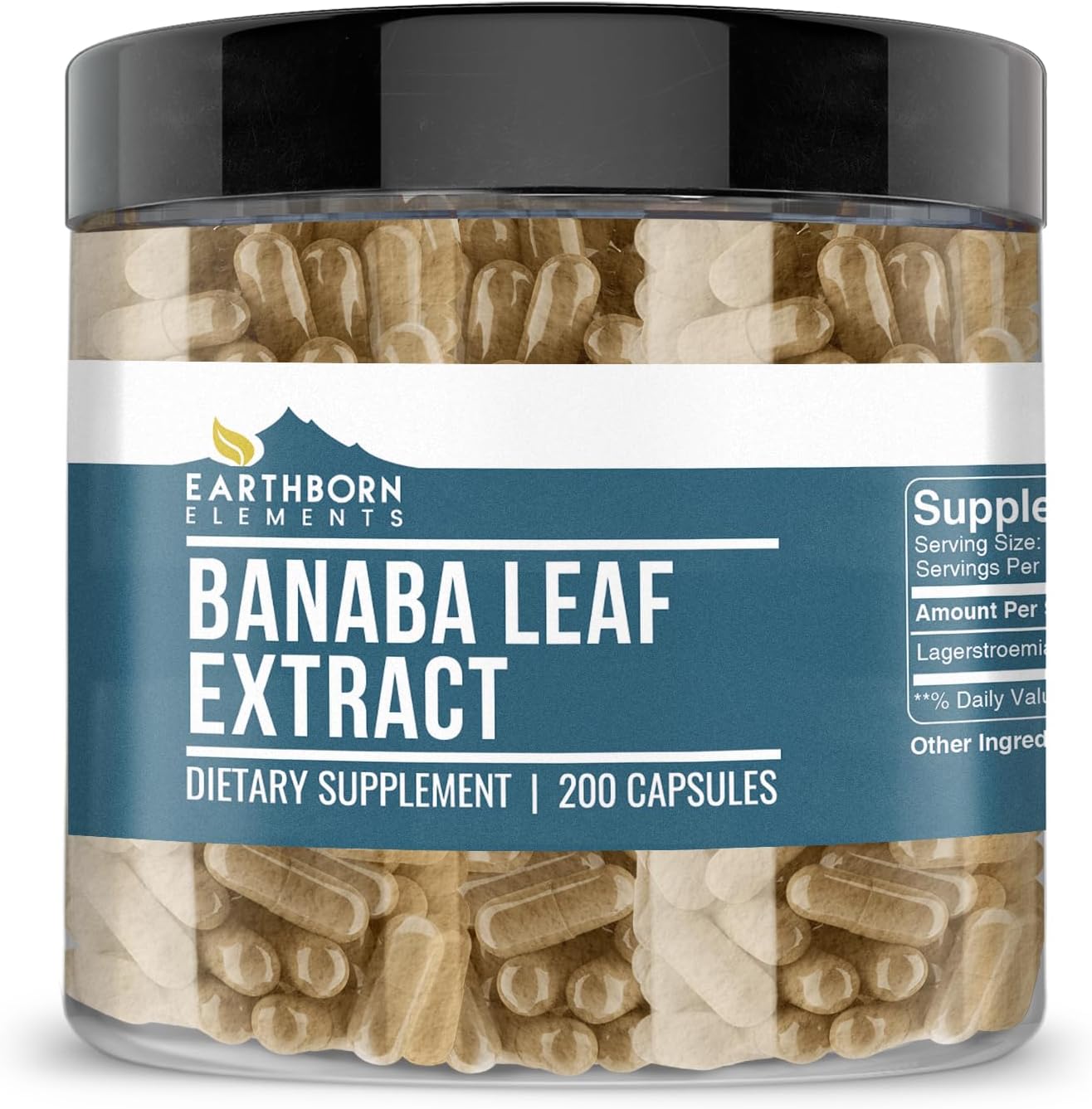 Amazon.com: Earthborn Elements Banaba Leaf Extract 200 Capsules, Pure ...