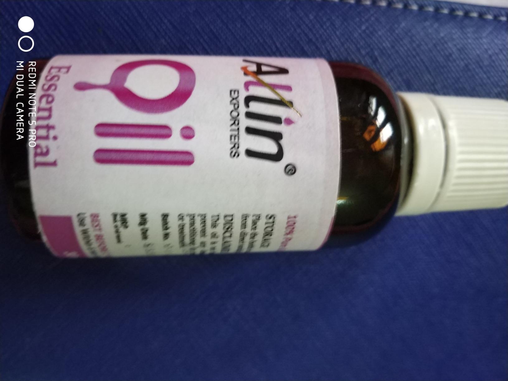 Buy Allin Exporters Garlic Essential Oil Undiluted Therapeutic Grade ...