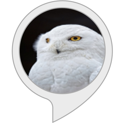 Amazon.com: Owl Facts : Alexa Skills