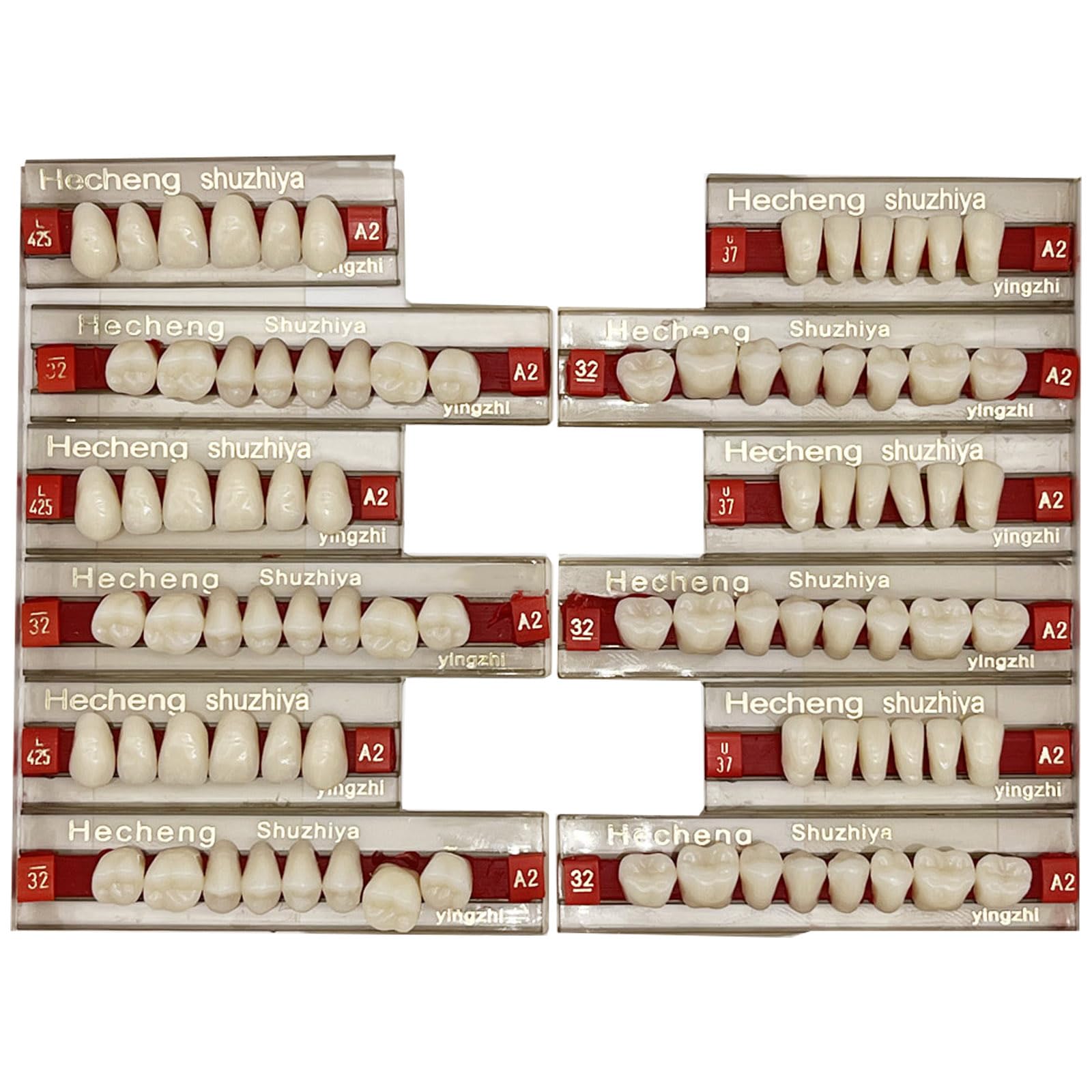 Buy 84 Pcs False Teeth Dental Complete Acrylic Resin Denture Teeth, 3 ...