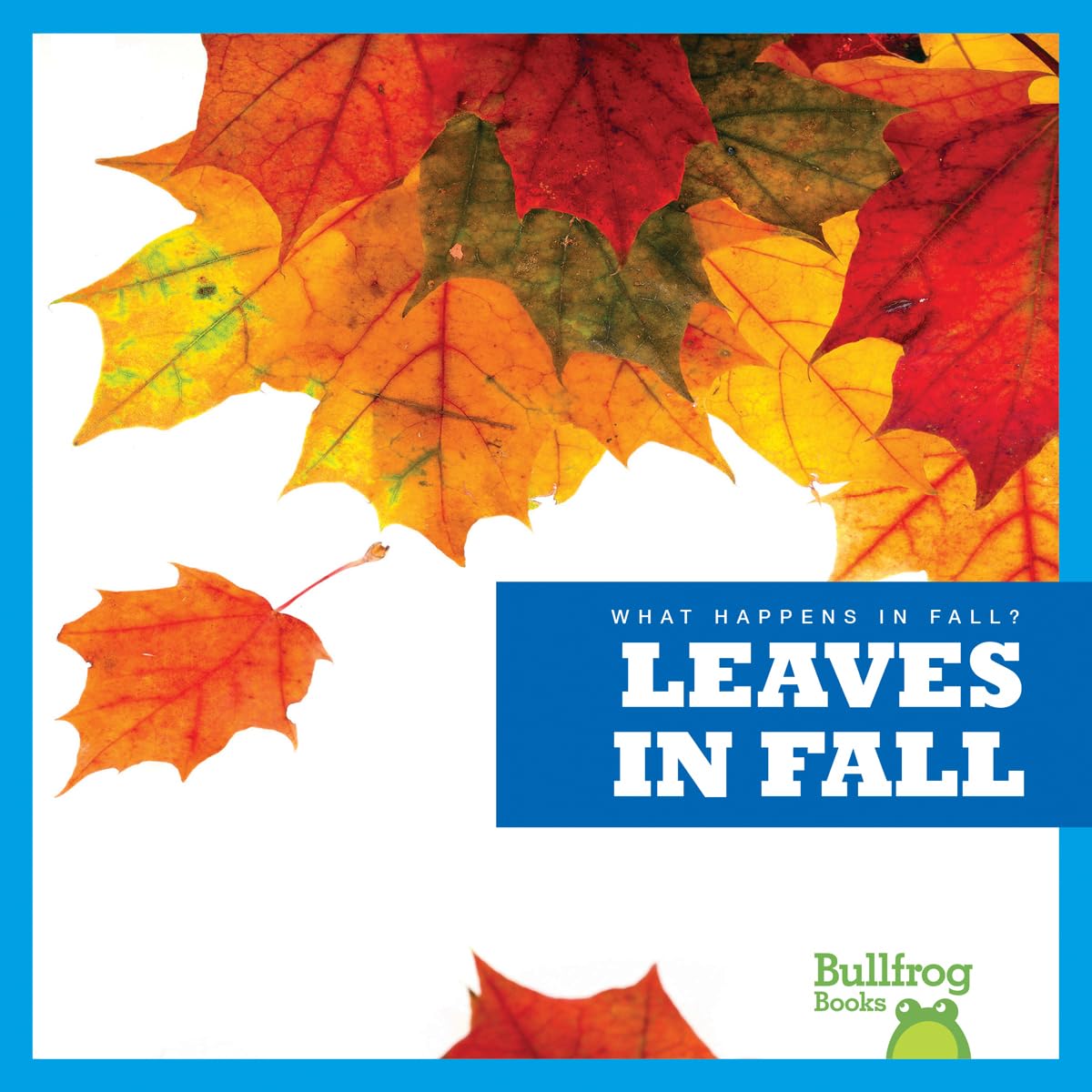 Leaves in Fall (Bullfrog Books: What Happens in Fall?): Mari Schuh ...