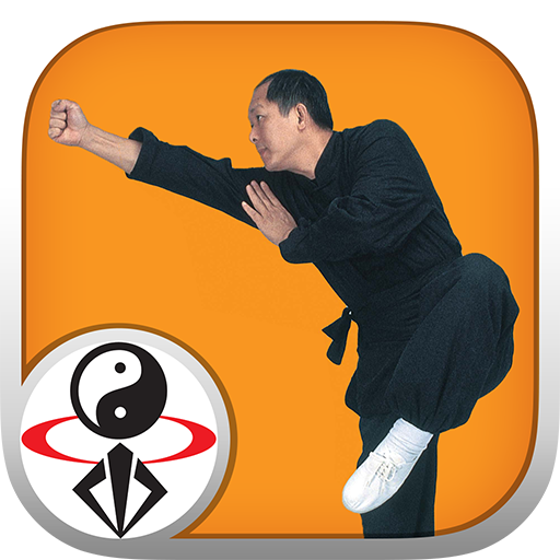 Shaolin Kungfu Logo