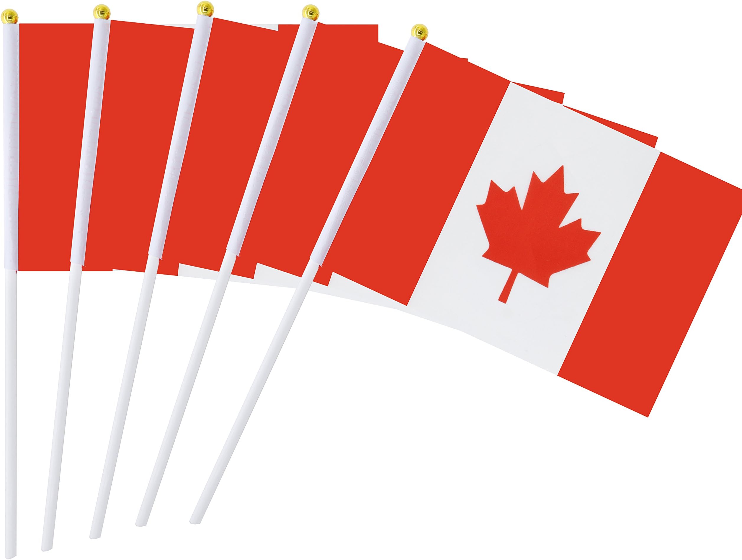 Amazon.com: 25 Pack Hand Held Small Mini Flag Canada Flag Canadian ...