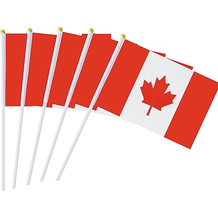 Amazon.com: Hand Held Canada Flag Canadian Flag Stick Flag Mini Flag 50 ...