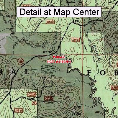 Amazon.com : USGS Topographic Quadrangle Map - Pollock, Louisiana ...