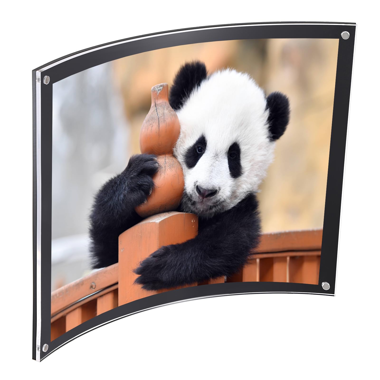 Amazon.com - JUXYES Acrylic Curved Picture Frames Desktop Freestanding ...