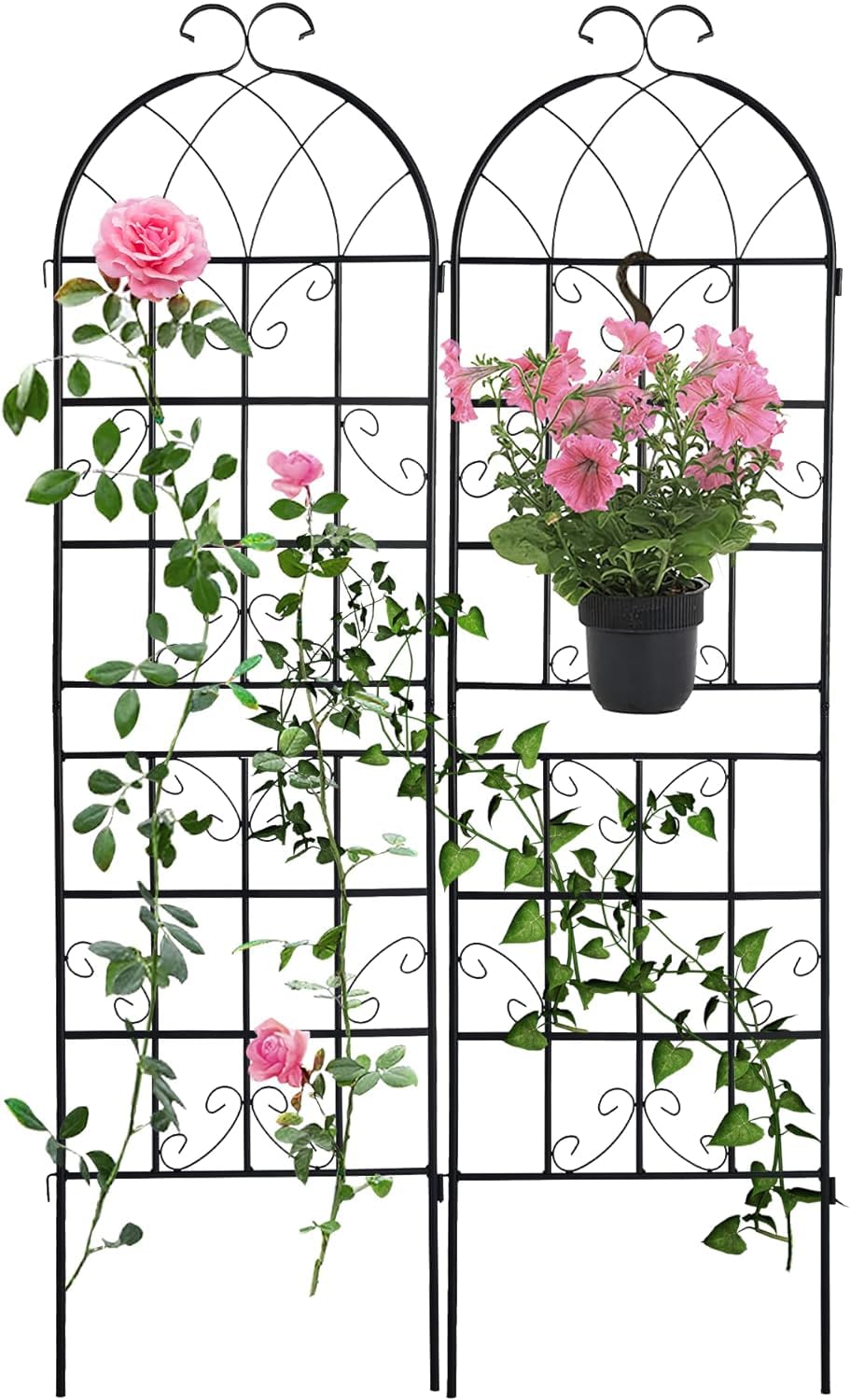 Snapklik.com : Metal Trellis Garden Trellis 2 Pack Metal Garden Trellis ...