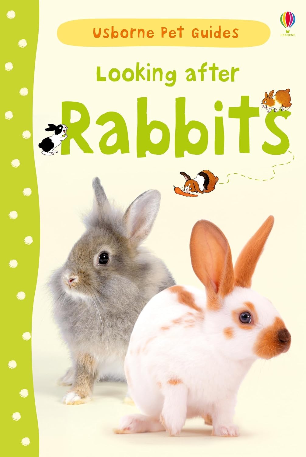 Looking After Rabbits: Fox, Christyan; Patchett, Fiona: 9781409532439 ...