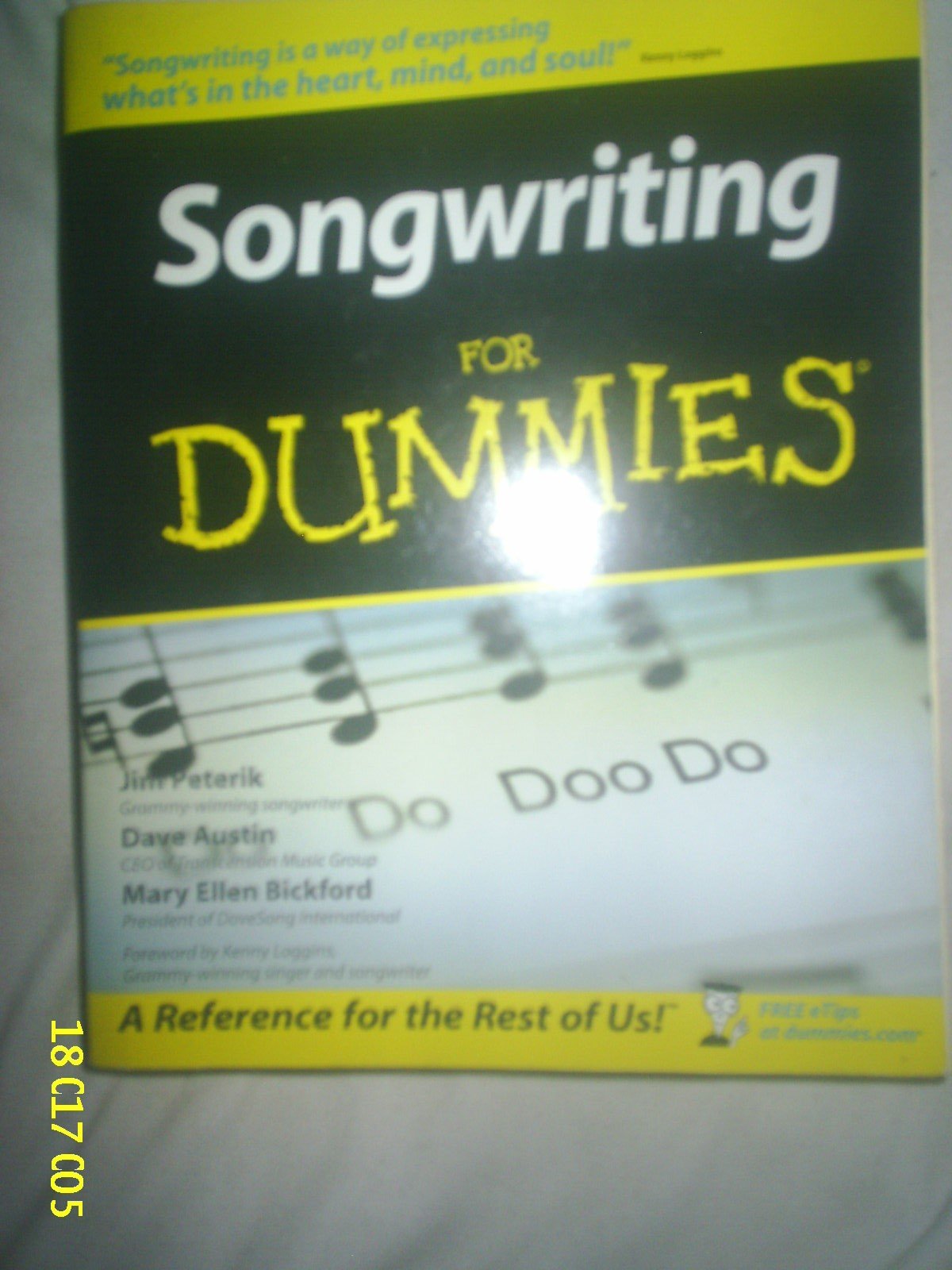 Songwriting for Dummies: Peterik, Jim, Austin, Dave, Bickford, Mary ...