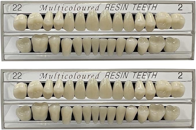 Amazon.com: 56 Pcs False Teeth Fake Teeth 2 Sets Synthetic Resin Dental ...