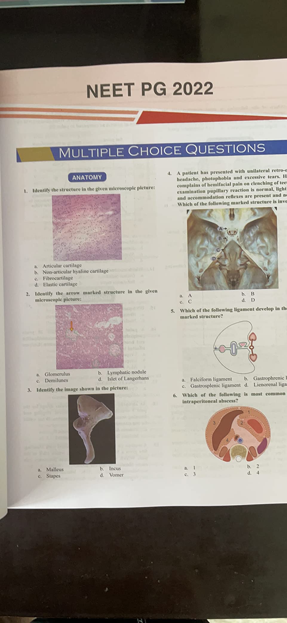 NEET/NEXT Essence : Pritesh Singh: Amazon.in: Books