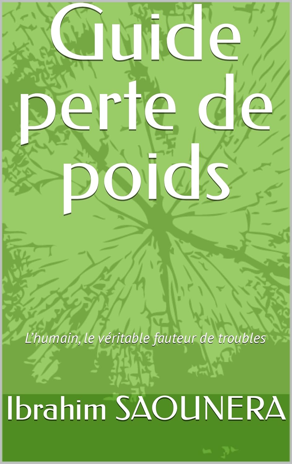 Guide perte de poids eBook : SAOUNERA, Ibrahim: Amazon.fr: Livres