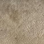 Amazon.com - EUREKA Portable Carpet and Upholstery Cleaner, Spot ...
