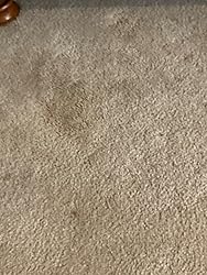 Amazon.com - EUREKA Portable Carpet and Upholstery Cleaner, Spot ...