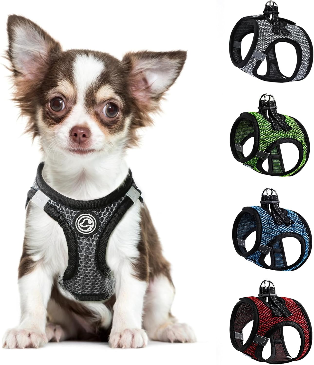 Amazon.com : Step in Dog Harness - Chihuahua Teacup Dog Harnesses for XXS, XS Small Dogs ...