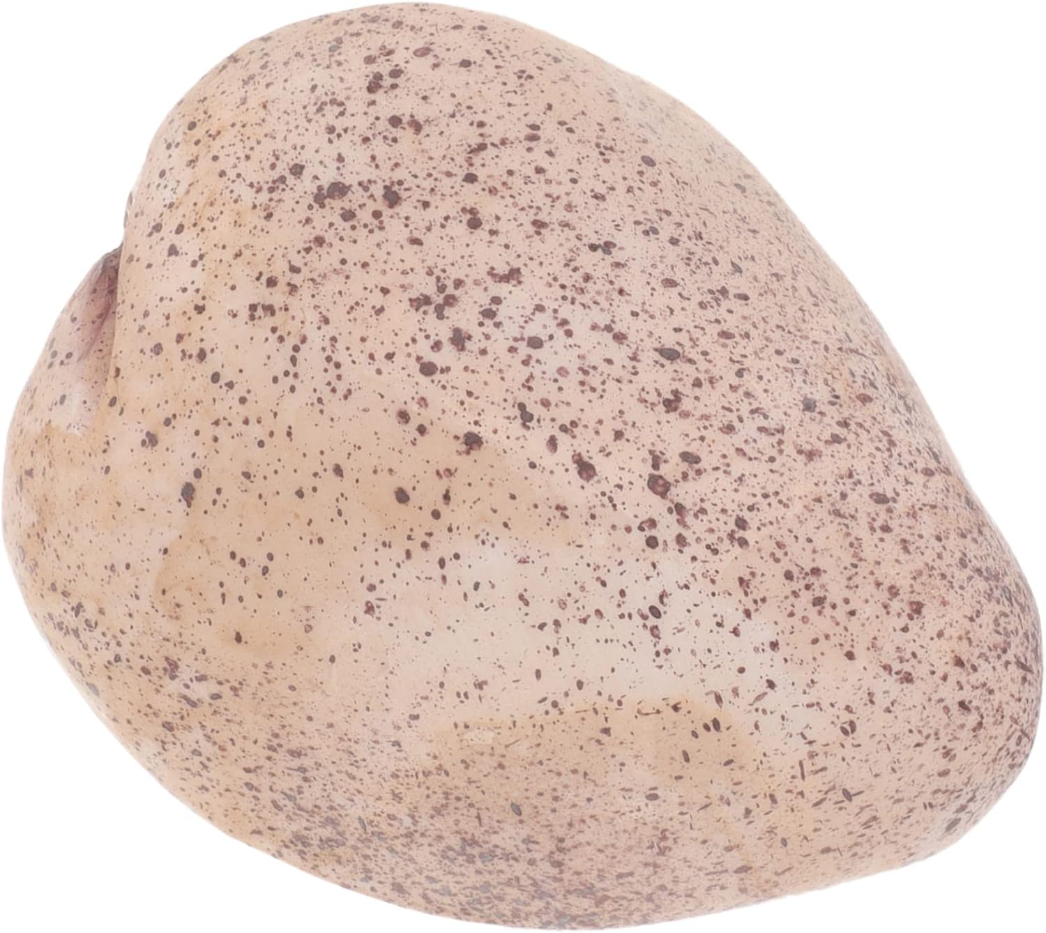 Amazon.com: Large Fake Rock Key Hider for Outdoor Yard Garden Weather ...