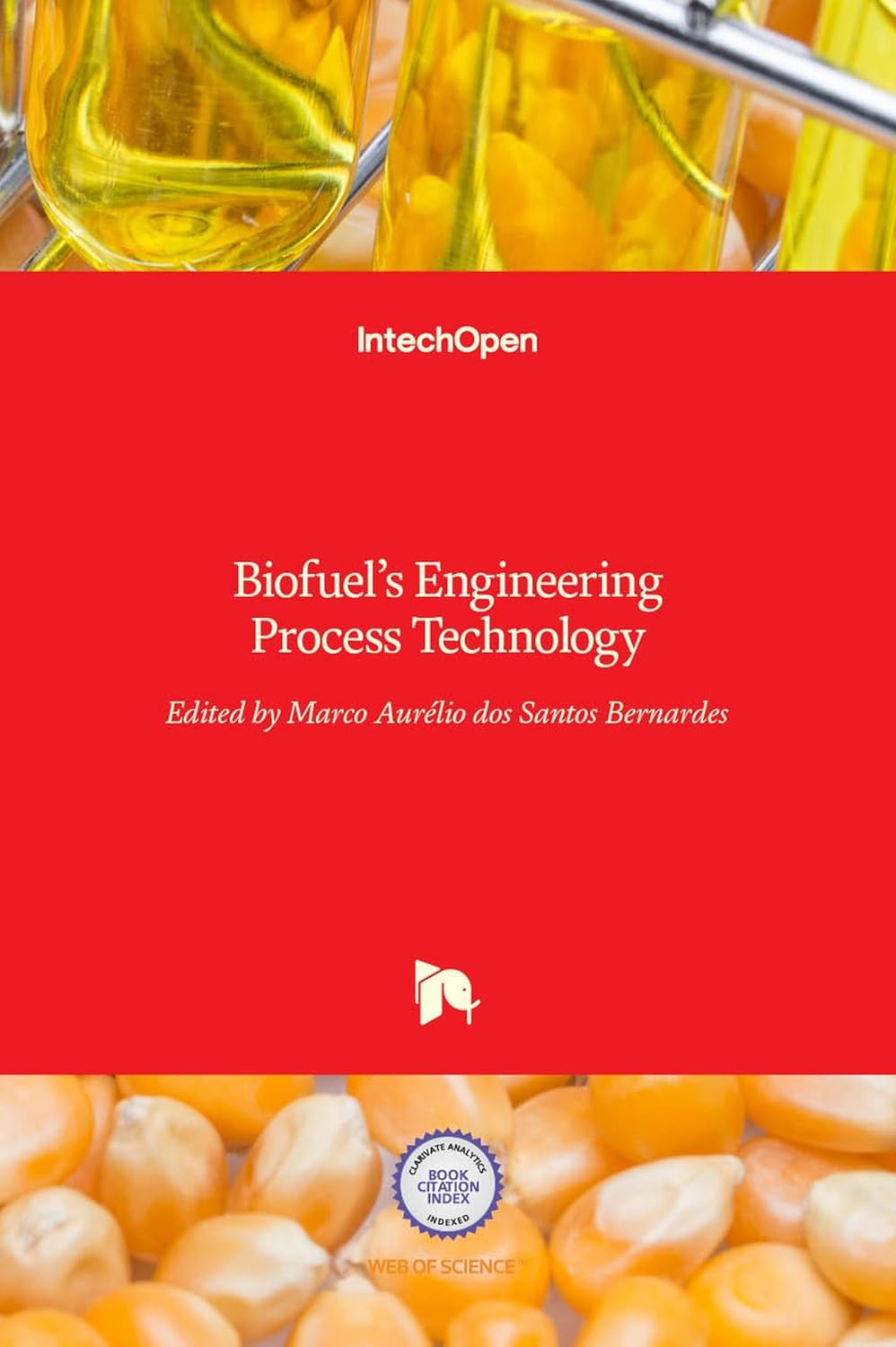 Biofuel's Engineering Process Technology: Dos Santos Bernardes, Marco ...