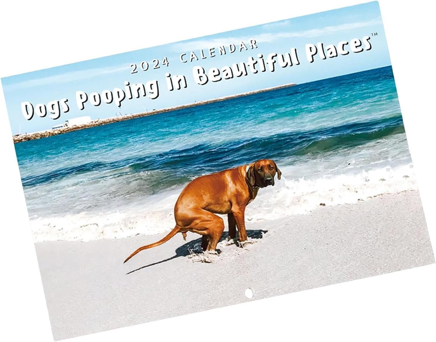 Dog Pooping Calendar 2024 - Funny Dogs Pooping in Beautiful Places ...