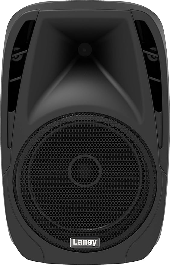 Amazon.com: Laney PA System (AH210) : Musical Instruments