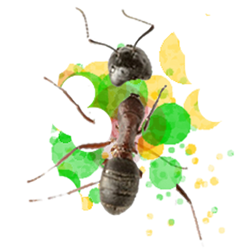 Ant and fly Smasher - App on Amazon Appstore
