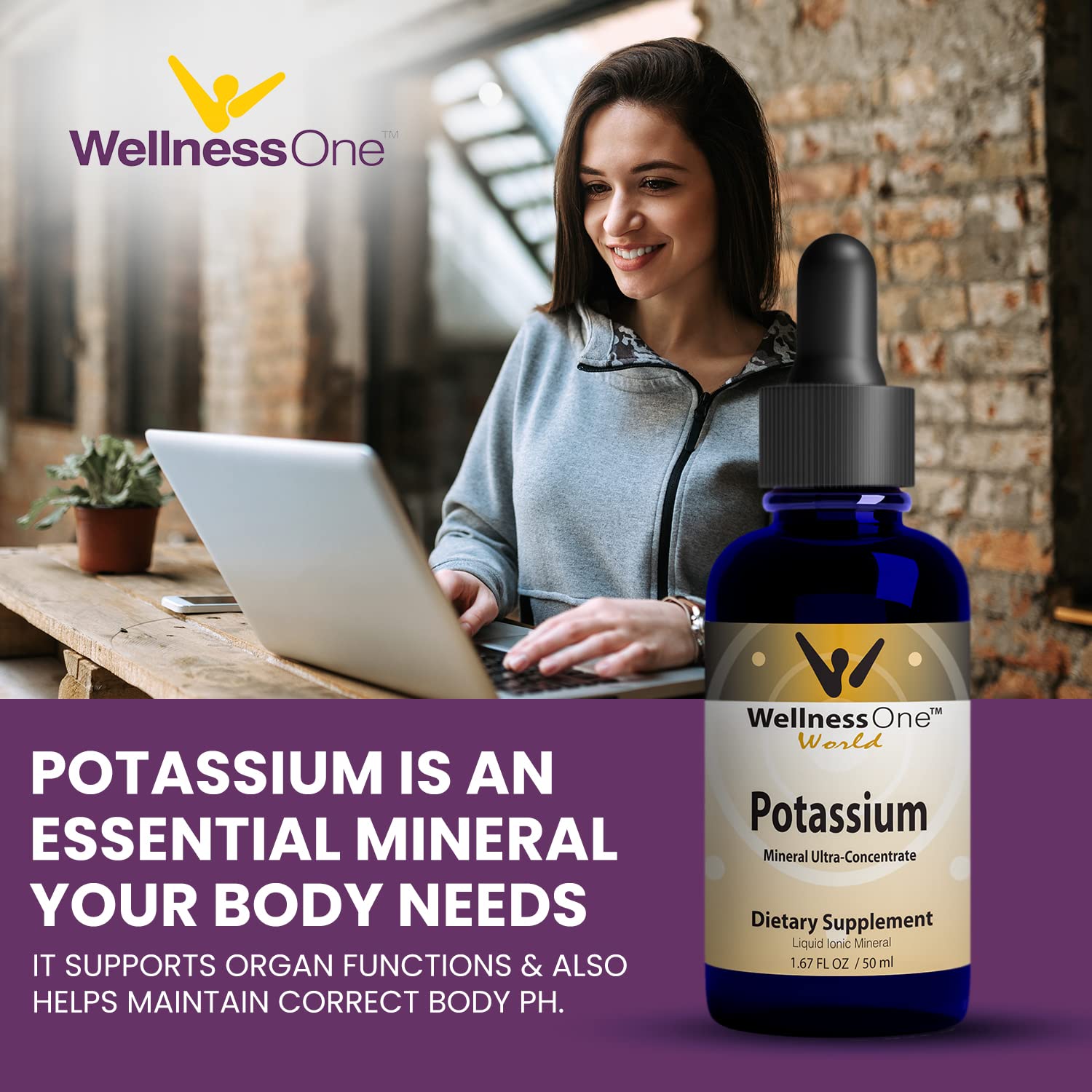 Snapklik.com : WellnessOne Ionic Potassium Supplement - Potassium ...