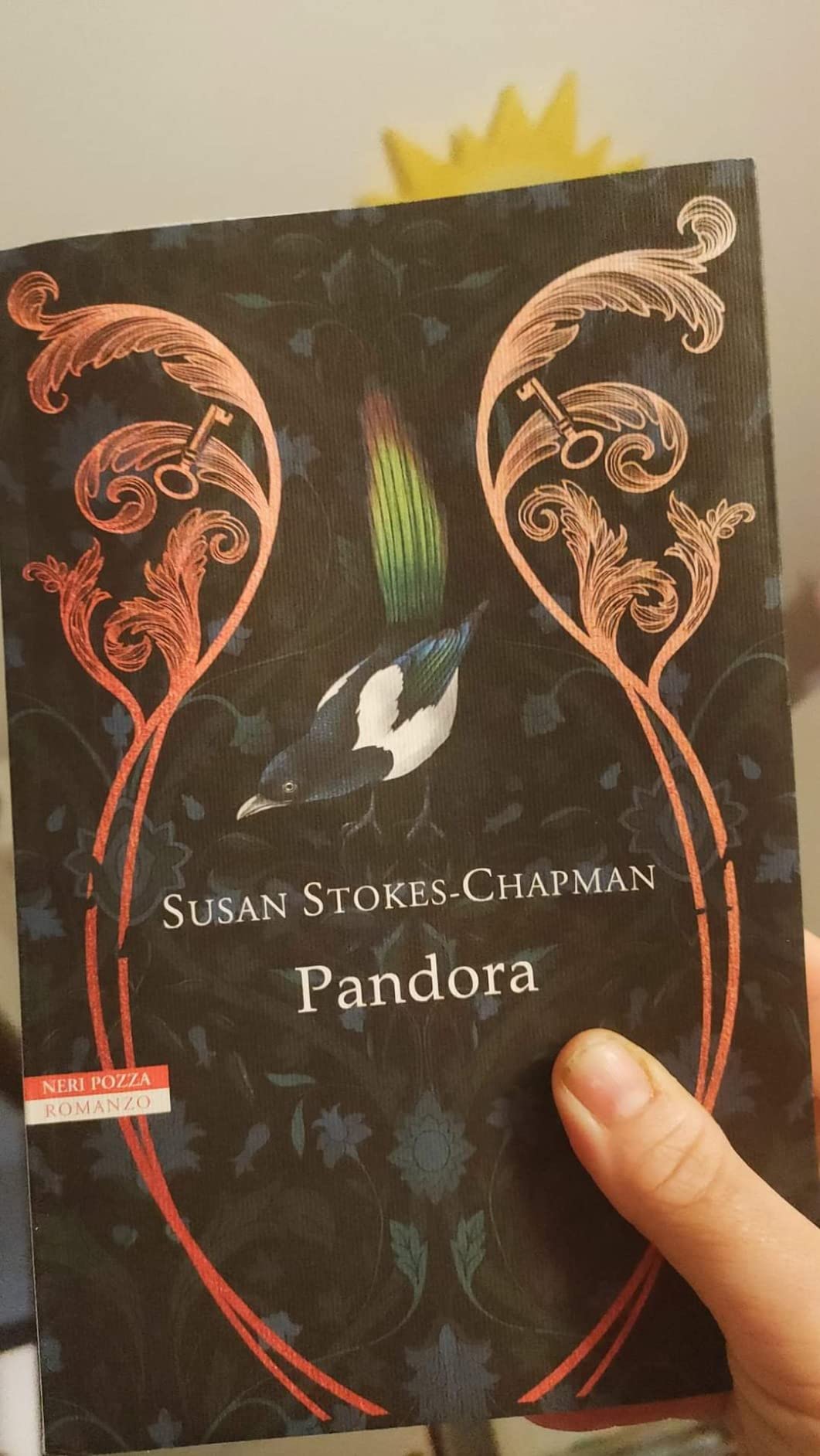 Pandora : Stokes-Chapman, Susan, Ortelio, Massimo: Amazon.it: Libri