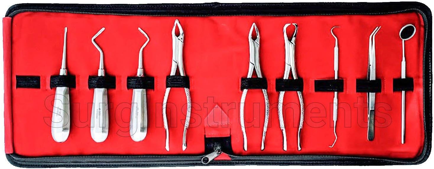 Amazon.com: SURGICAL ONLINE Unmatched Precision with 9 Pc Basic Dental ...