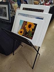 Amazon.com: Creative Mark Medium Canvas Art Print Rack - Portable ...