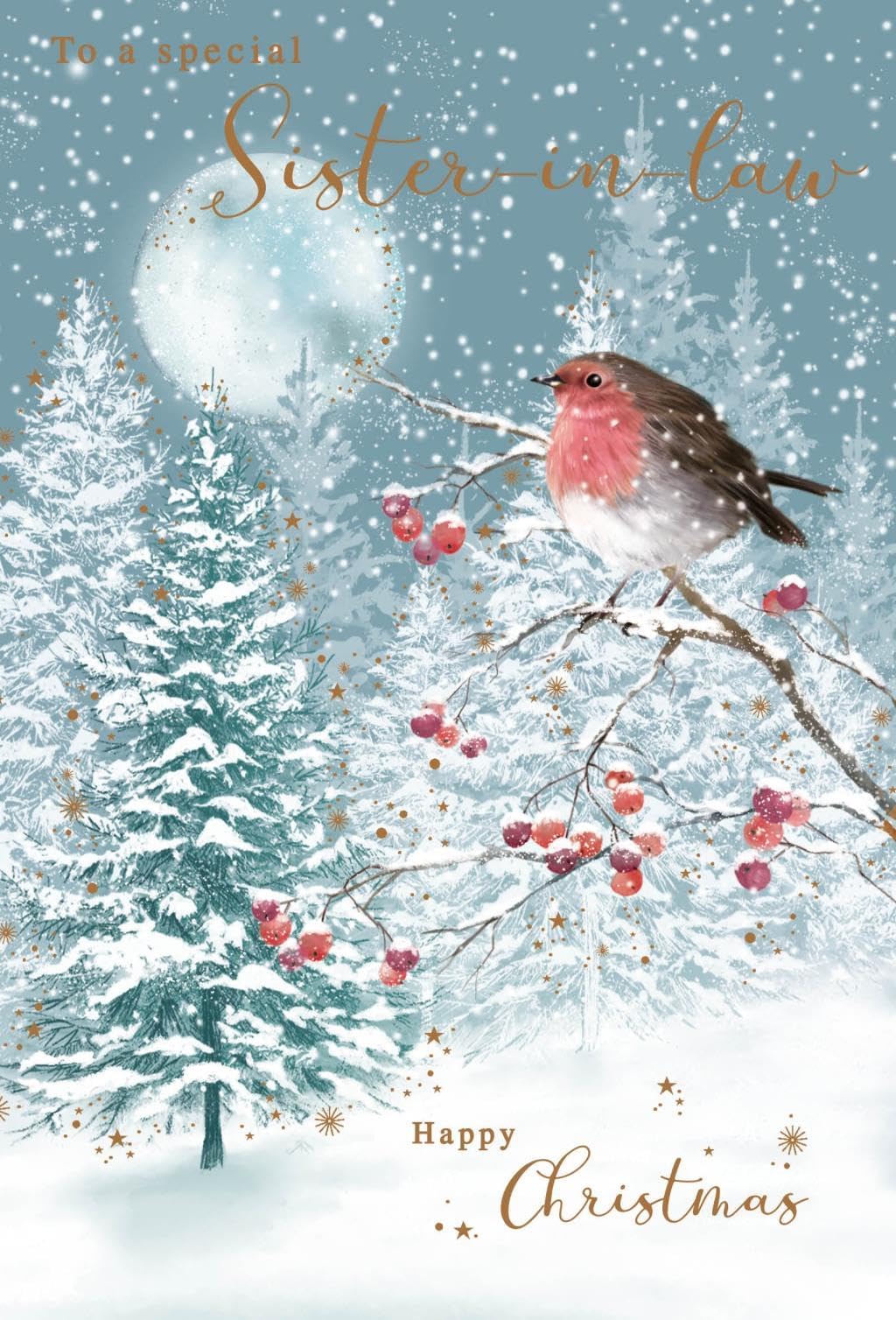 Nigel Quiney Special Sister-in-Law Christmas Card - Robin on Snowy ...