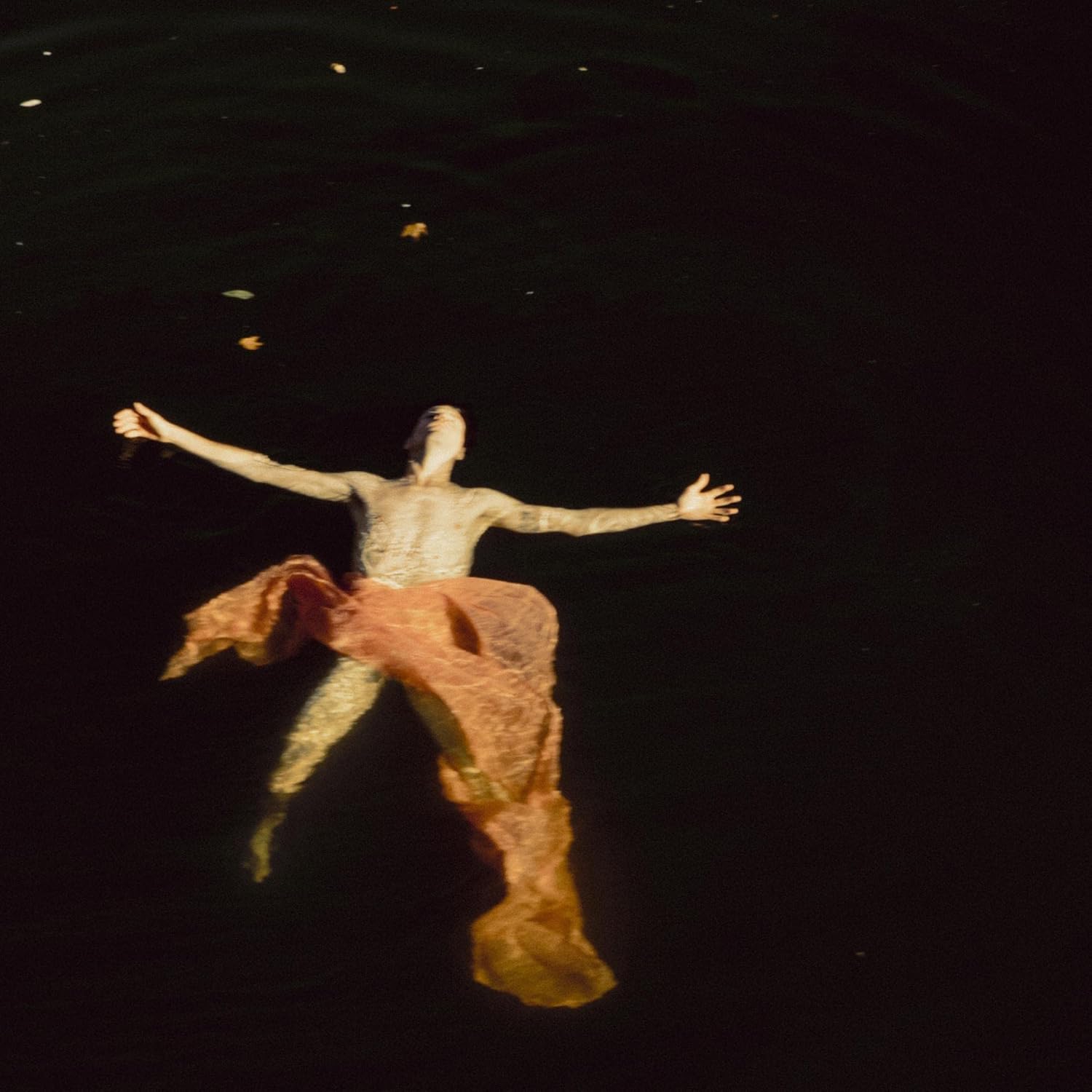 Amazon.com: The Destroyer - 1: CDs & Vinyl