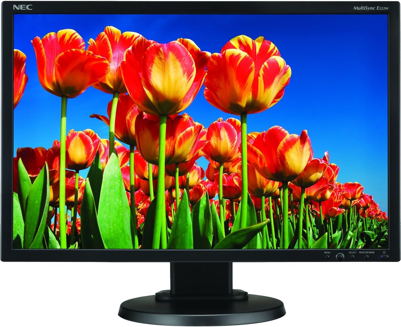 Amazon.com: NEC E222W-BK 22 inch Widescreen LCD Monitor 1680X1050 DVI ...