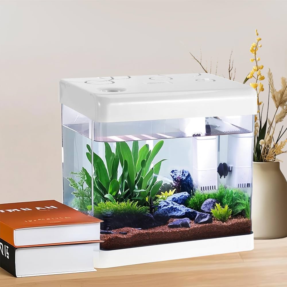 Small Fish Tank