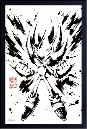 Amazon.com: Pyramid America Sonic Poster Frame - Poster Gel Coated ...
