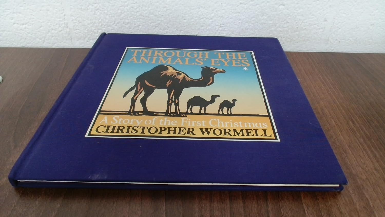 Through the Animals' Eyes: A Story of the First Christmas: Wormell ...
