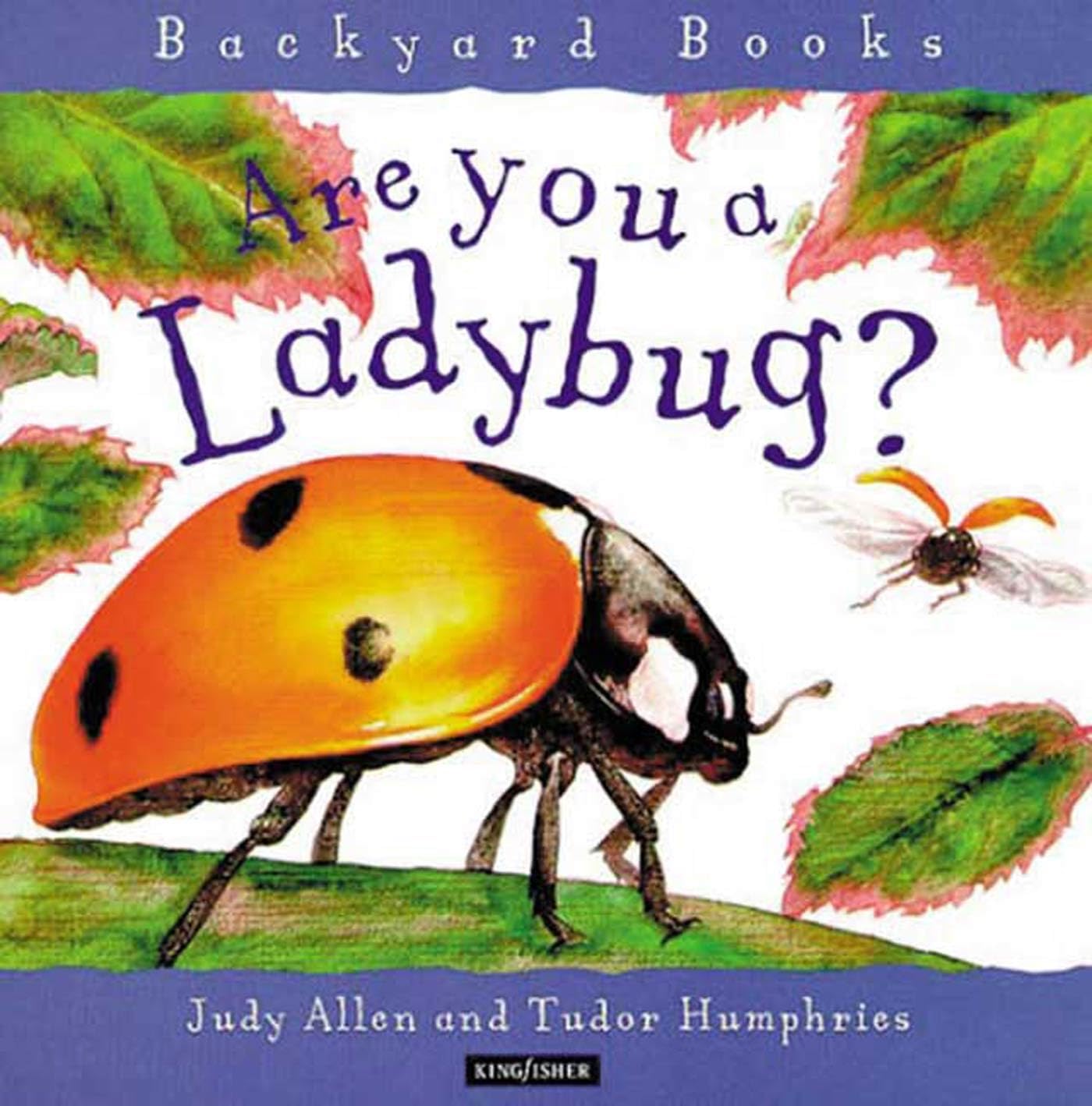 Are You a Ladybug? (Backyard Books): Allen, Judy, Humphries, Tudor: 9780753452417: Amazon.com: Books