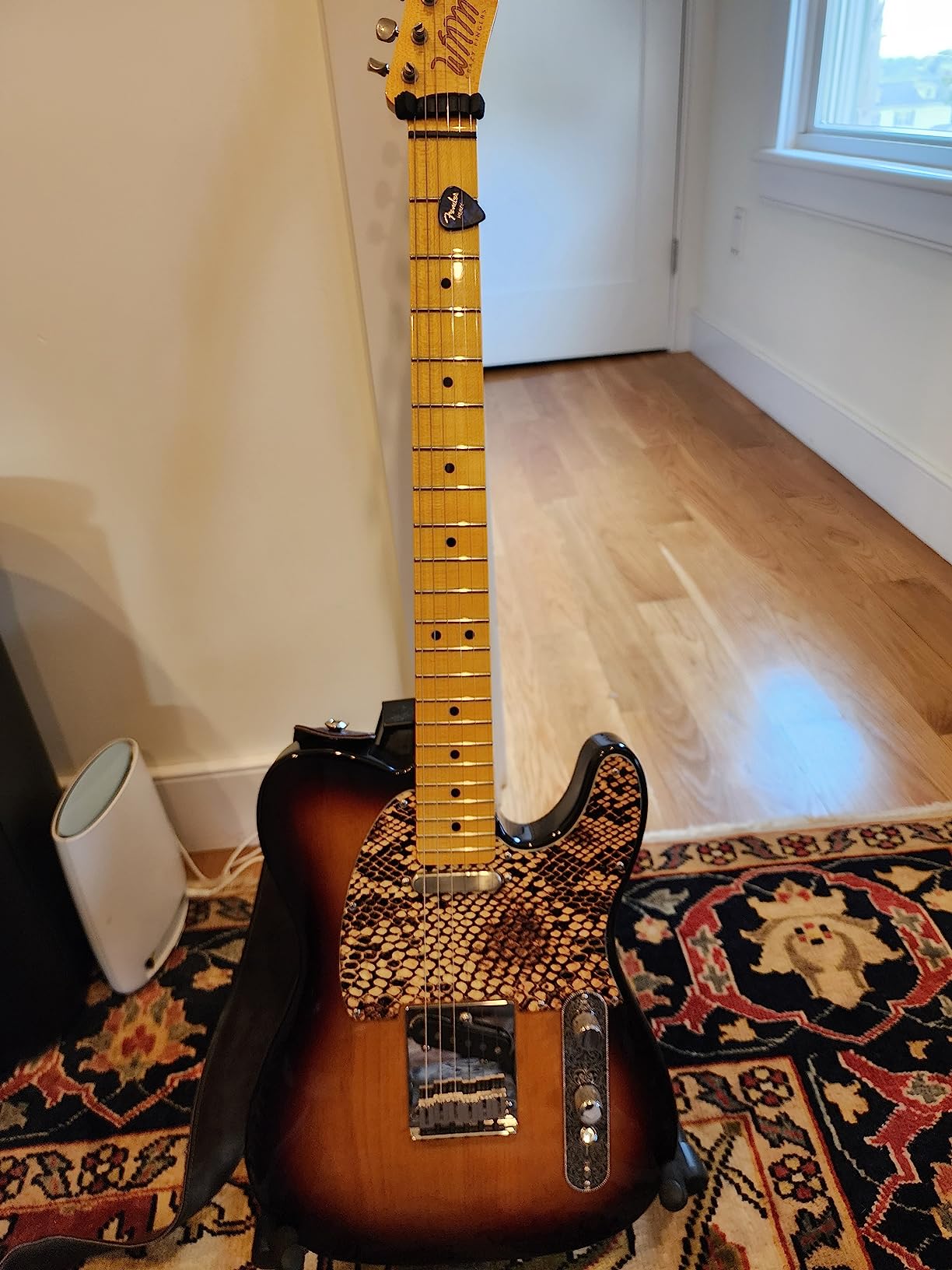 Amazon.com: Custom Graphical Pickguard to fit Fender Tele Telecaster ...