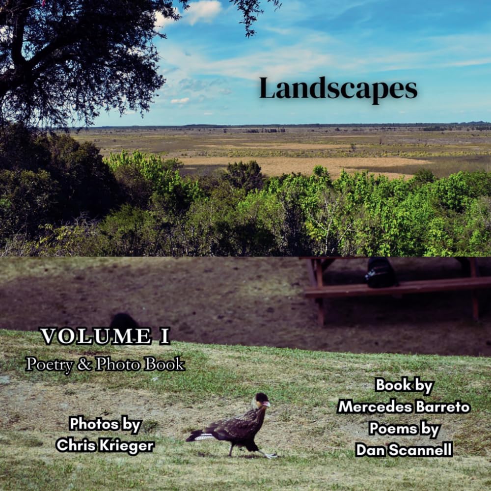 Amazon.com: Landscapes Poetry & Photo Book: Volume One: 9798303507548 ...