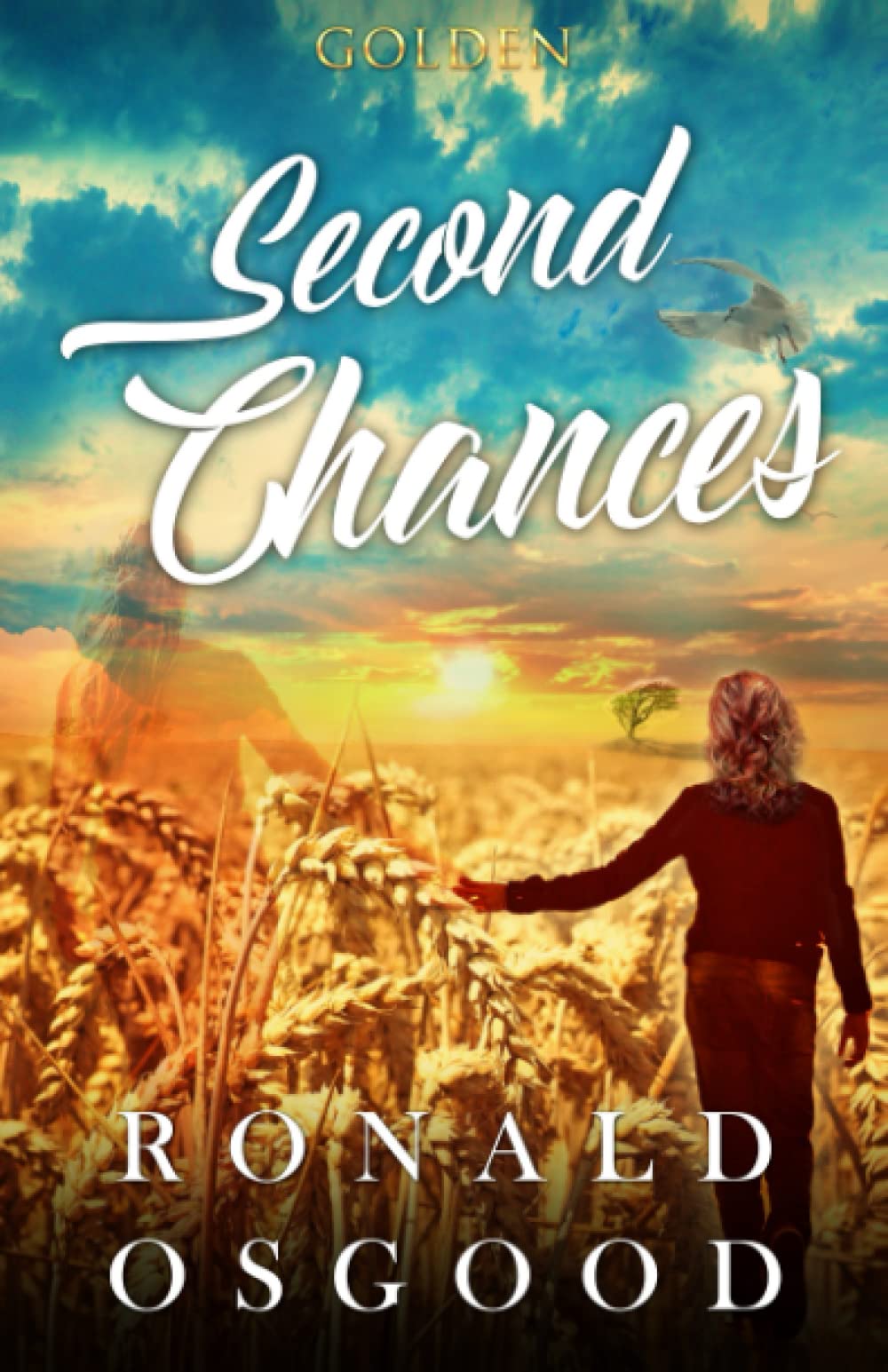Second Chances: Golden Book 1: Osgood, Ronald: 9781954986206: Amazon ...