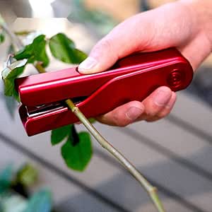 Amazon.com : Professional Rose Thorn and Leaf Stripping Tool, Roses Thorn Remover, Florist Rose ...