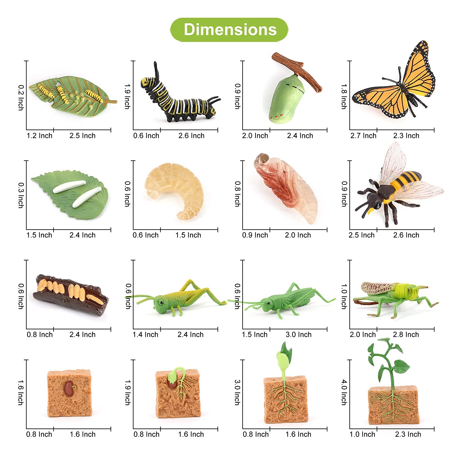 Animal Figurines Toys Set VOLNAU 16PCS Life Cycle Toys Plant Locust ...