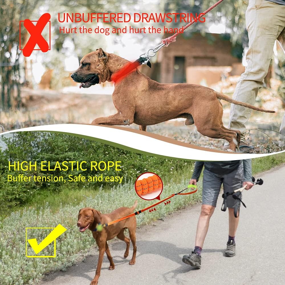 How Do You Control A Strong Dog