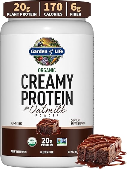 Amazon.com: Garden of Life Creamy Organic Vegan Protein Powder ...