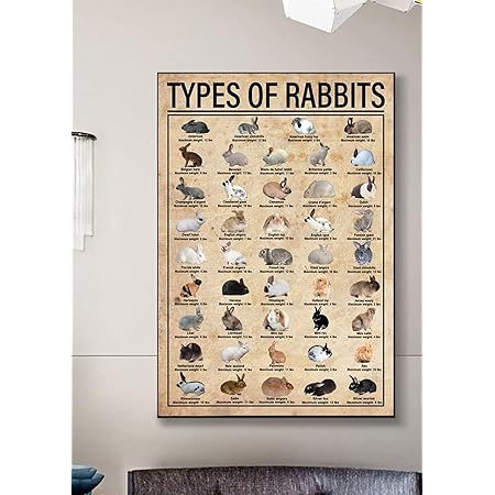 Amazon.com: Curteny Vintage Metal Tin Sign Types of Rabbits Poster ...
