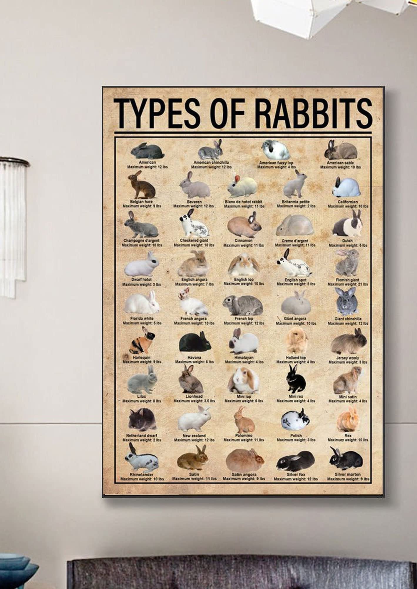 Amazon.com: Curteny Vintage Metal Tin Sign Types of Rabbits Poster ...